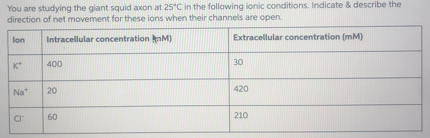 Solved You are studying the giant squid axon at 25°C in the | Chegg.com