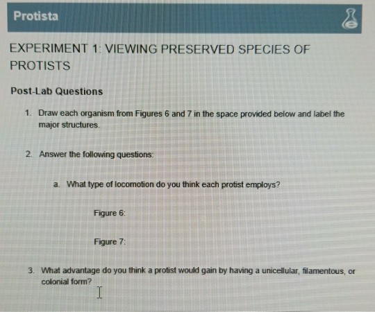 Protista EXPERIMENT 1: VIEWING PRESERVED SPECIES OF | Chegg.com