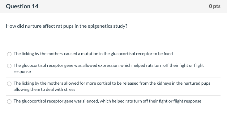 Solved Question 14 O pts How did nurture affect rat pups in | Chegg.com