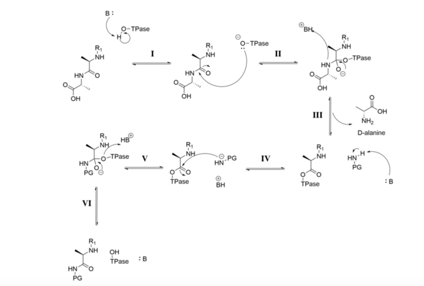 You are working in a remote part of the US as a | Chegg.com