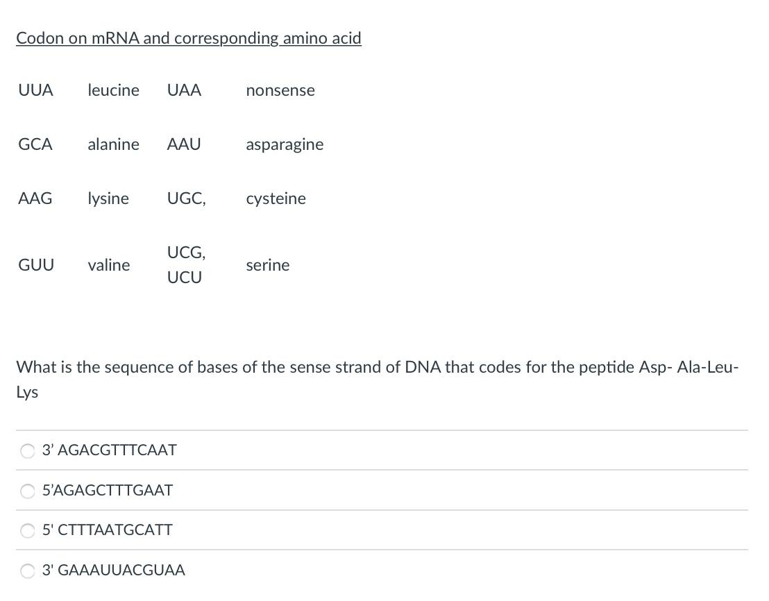 Codon on mRNA and corresponding,amino acid What is | Chegg.com