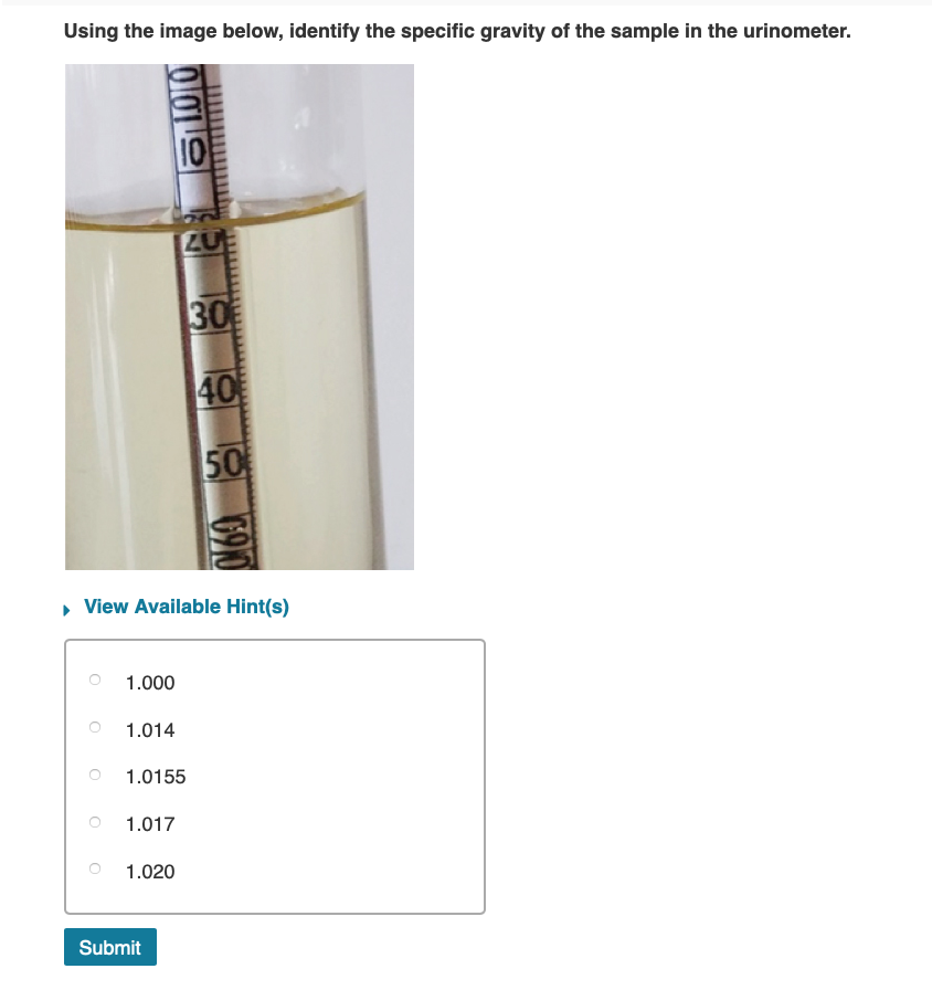Solved Drag each key urine formation process to the correct | Chegg.com