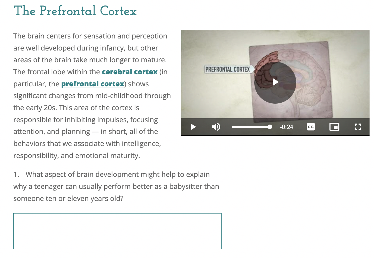 Solved The Prefrontal Cortex PREFRONTAL CORTEX The brain | Chegg.com