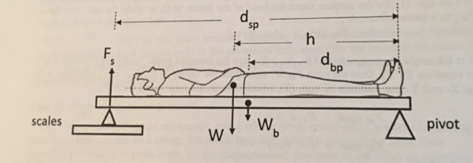 Solved 3. [2pt] A uniform horizontal board, 1.50 m long, is | Chegg.com