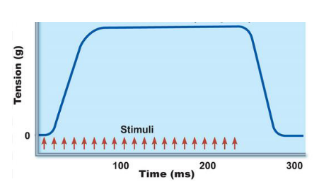 Solved 9. The myogram shown here is most likely shows the | Chegg.com
