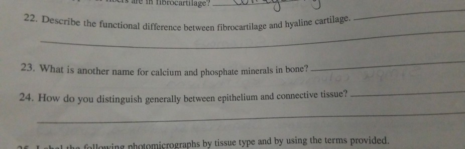 Solved 10 EXERCISE 2 Organs, Systems, and Organization of | Chegg.com