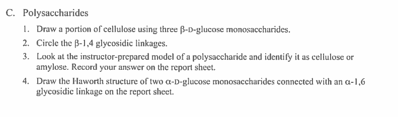 Solved C. ﻿Polysaccharides-Draw a portion of cellulose using | Chegg.com