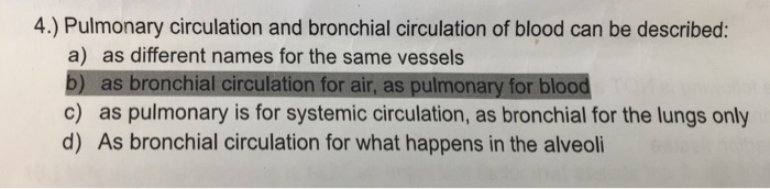 Solved 4.) Pulmonary circulation and bronchial circulation | Chegg.com