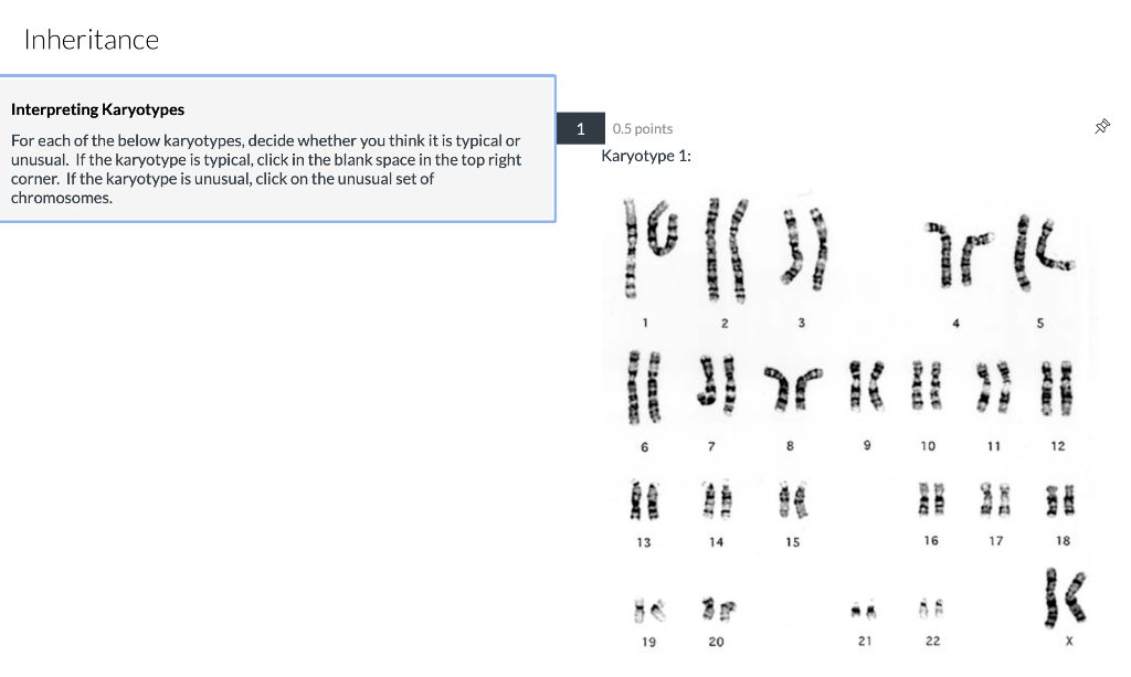 Solved Inheritance 1 Interpreting Karyotypes For each of the | Chegg.com