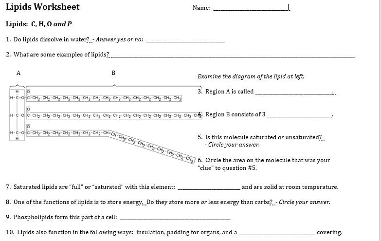 Solved Name: Lipids Worksheet Lipids: C, H, O and P 1. Do | Chegg.com