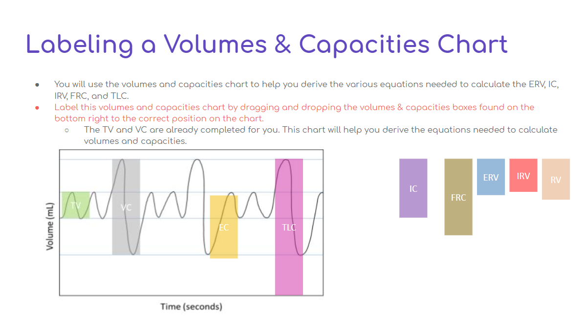Solved Labeling a Volumes \& Capacities Chart - You will use | Chegg.com