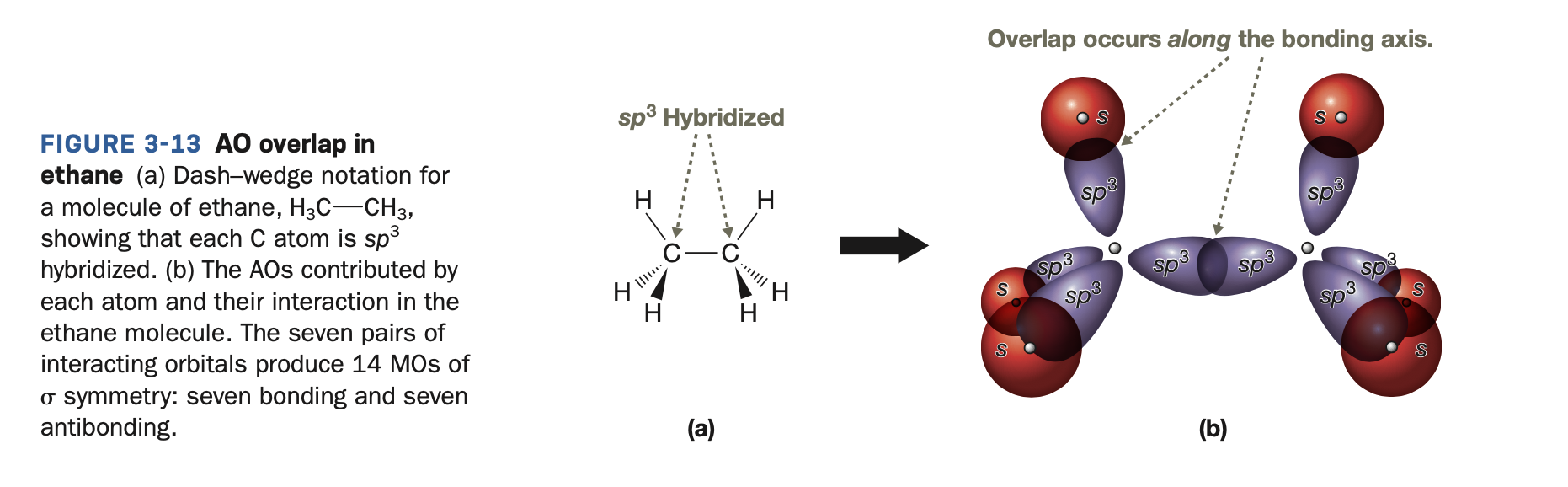 Solved Overlap occurs along the bonding axis. sp3 Hybridized | Chegg.com
