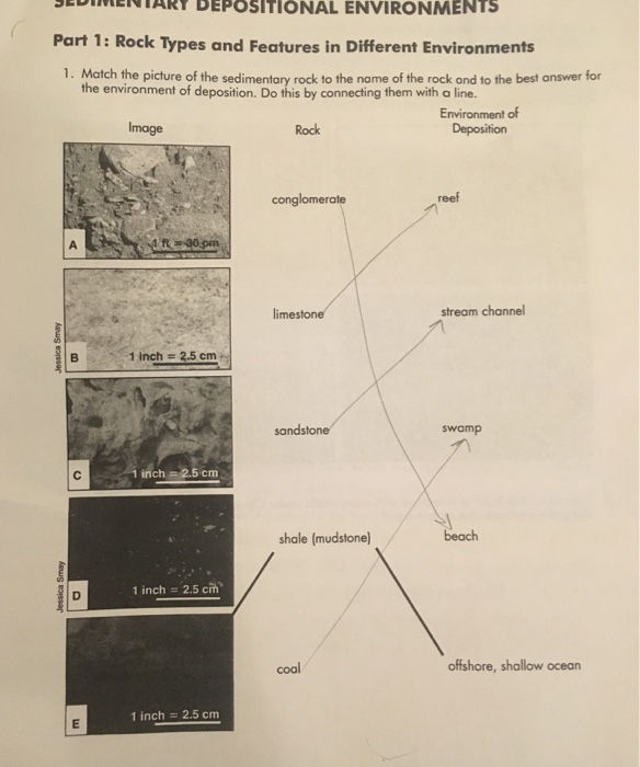 Solved EDMETARY DEPOSITIONAL ENVIRONMENTS Part 1: Rock Types | Chegg.com