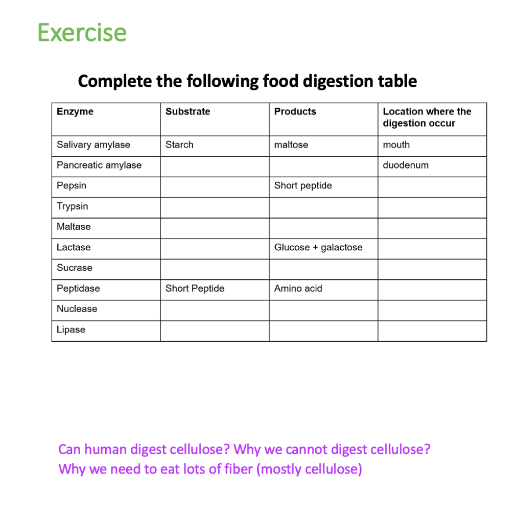 Solved Exercise Complete the following food digestion table | Chegg.com