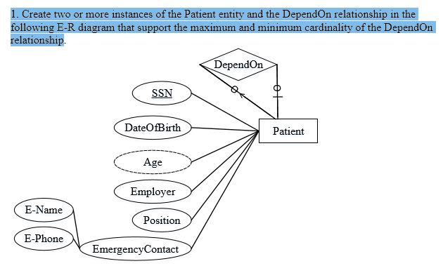 Solved 1. Create two or more instances of the Patient entity | Chegg.com