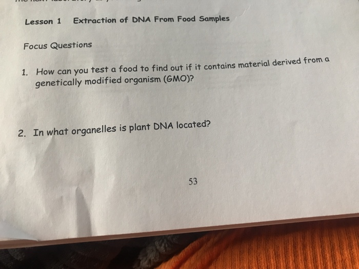 Solved Lesson 1 Extraction of DNA From Food Samples Focus | Chegg.com