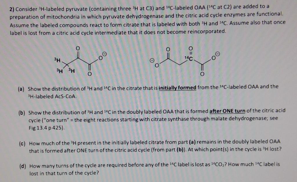2) Consider 3H-labeled pyruvate (containing three H | Chegg.com