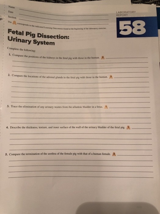 Solved LABORATORY REPORT Date Section The corresponds to the | Chegg.com