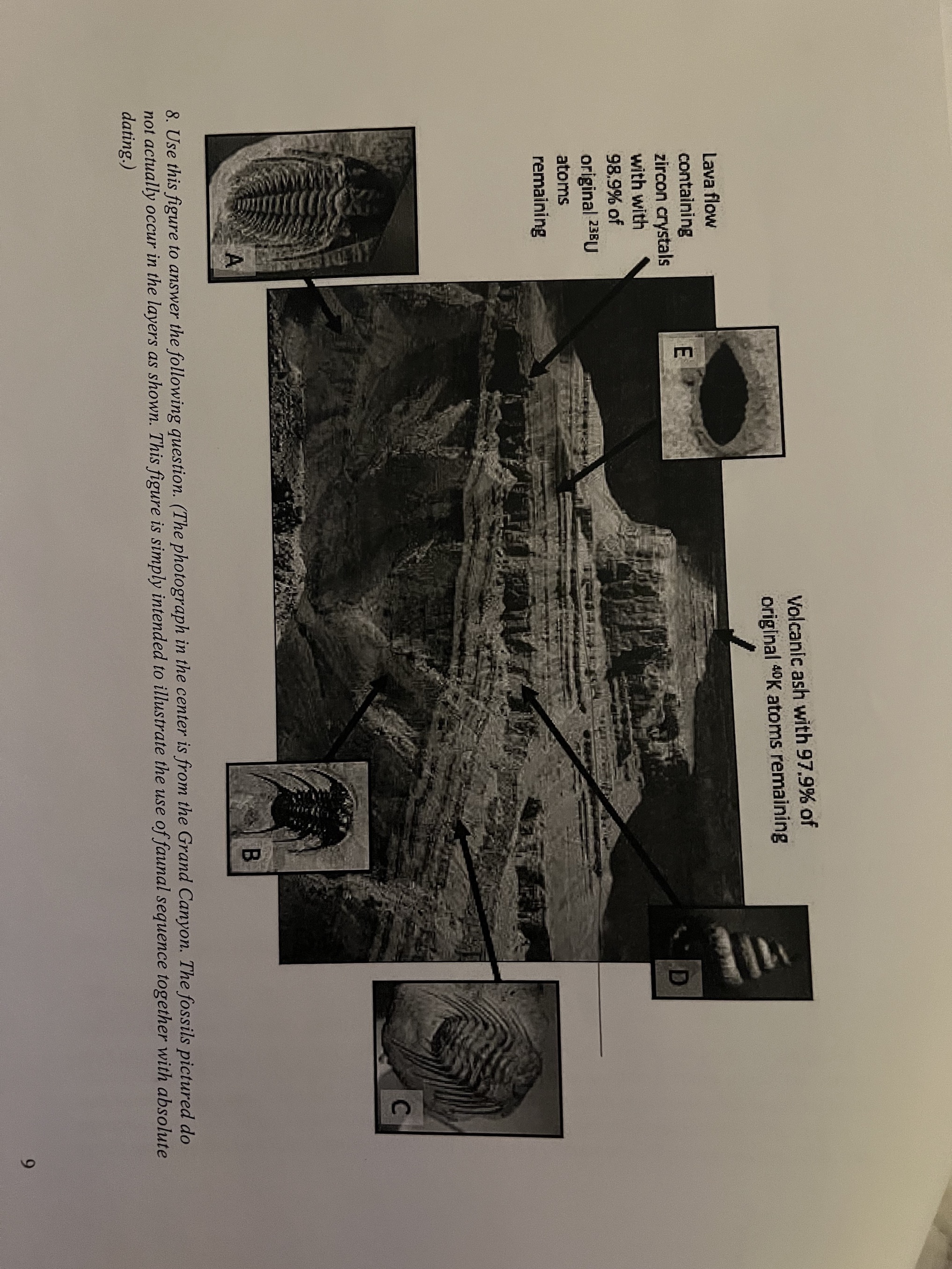 Solved Using the geologic timescale figure in question 6 and | Chegg.com