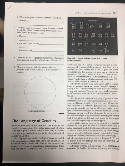 Solved UNIT 33 | Embryonic Development and Heredity 671 s. | Chegg.com