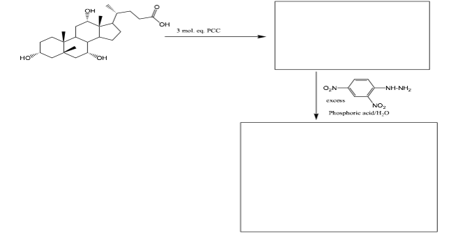 Solved Cholic acid is one of major bile acids produced by | Chegg.com