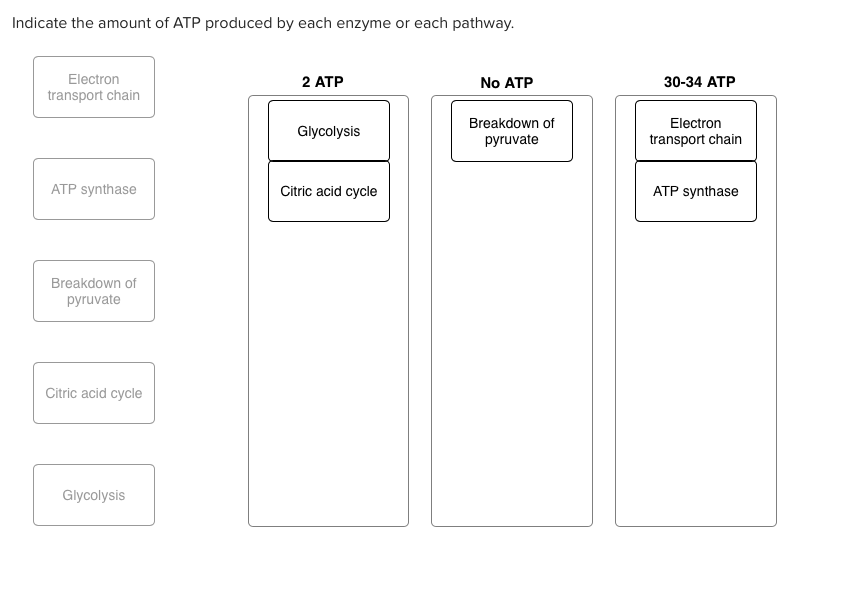 Solved Indicate the amount of ATP produced by each enzyme or | Chegg.com Solved Indicate the amount of ATP produced by each enzyme or | Chegg.com