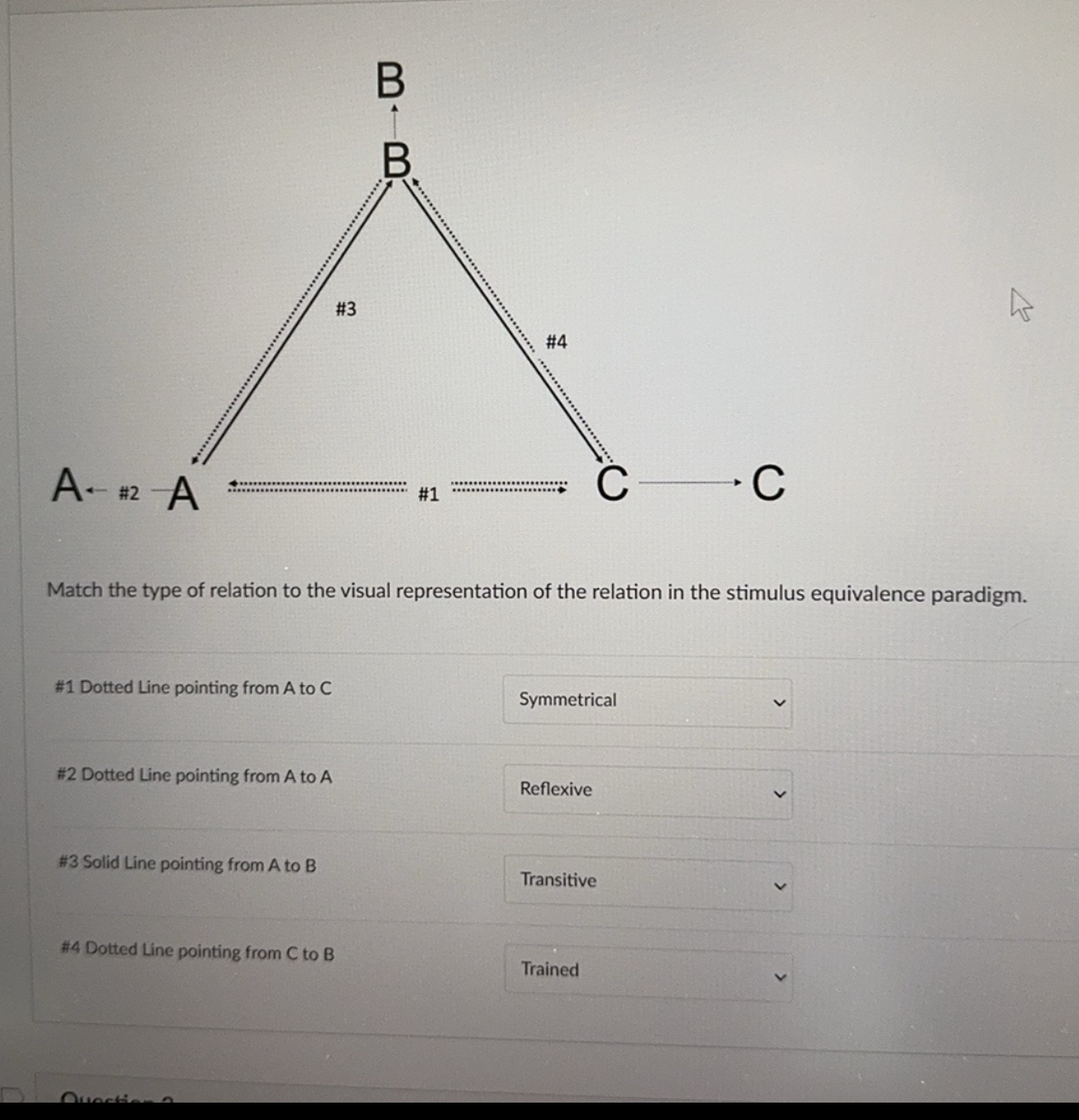 Solved Match the type of relation to the visual | Chegg.com