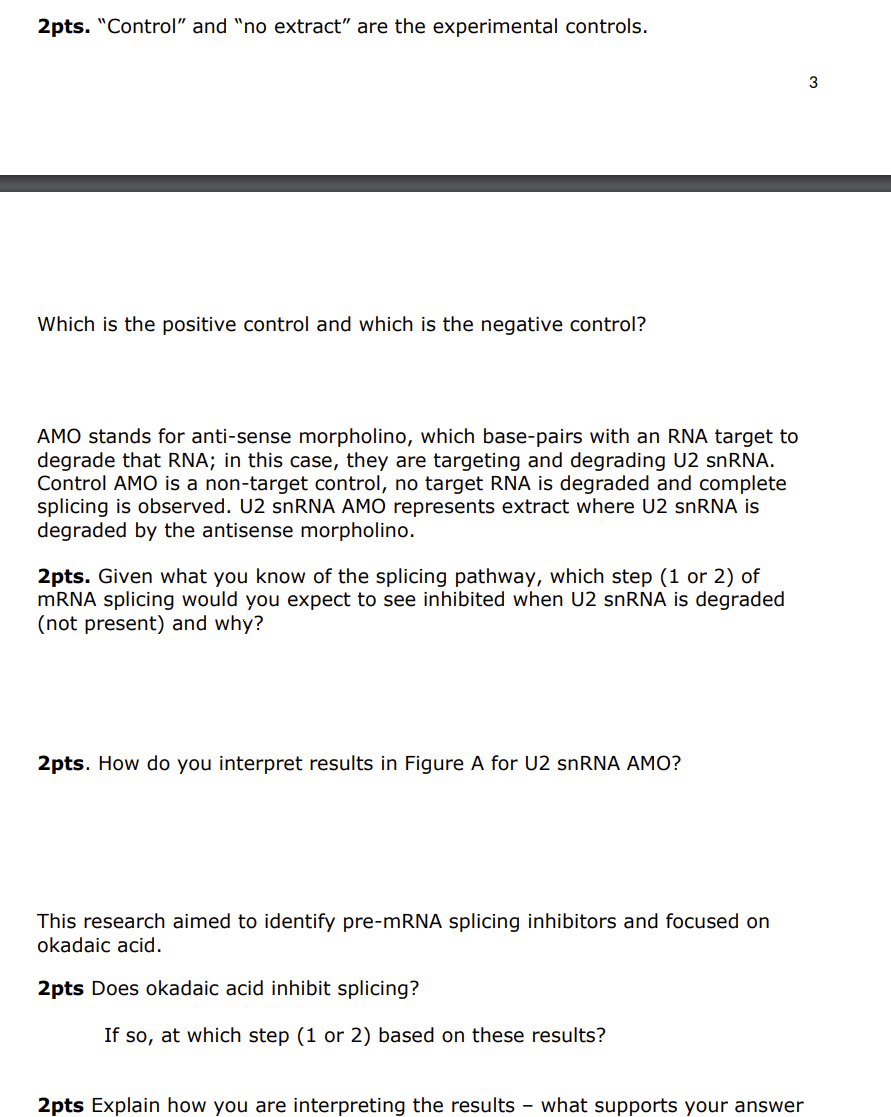 Below is the result of in vitro splicing assays with | Chegg.com