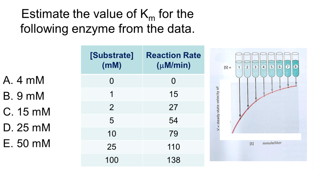 Solved Estimate the value of Km for the following enzyme | Chegg.com