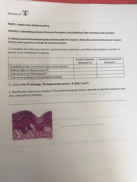 Solved Exercise 17 PART I. Check Your Understanding Activity | Chegg.com