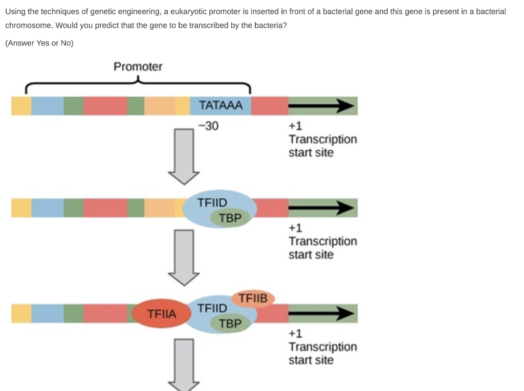 Solved Using the techniques of genetic engineering, a | Chegg.com Solved Using the techniques of genetic engineering, a | Chegg.com