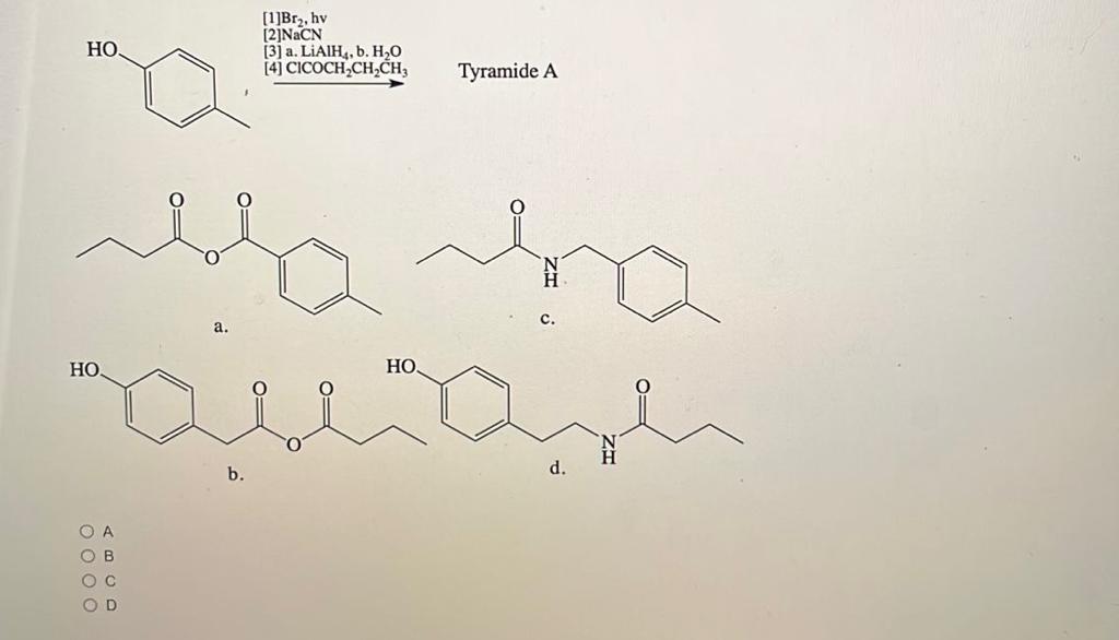 Solved 1.31) A group of compounds known as "Tyramides" have | Chegg.com
