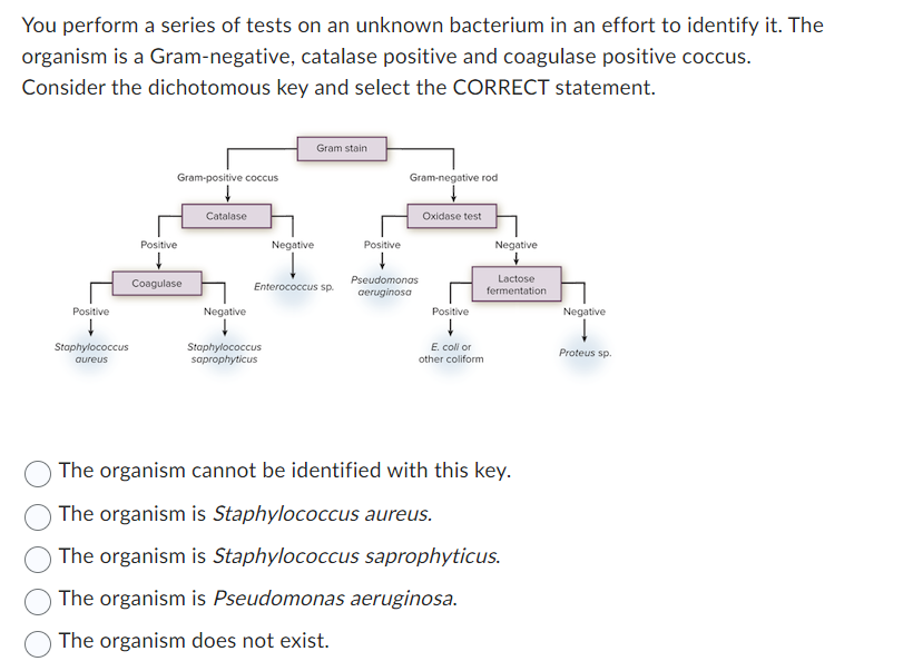 Solved You perform a series of tests on an unknown bacterium | Chegg.com