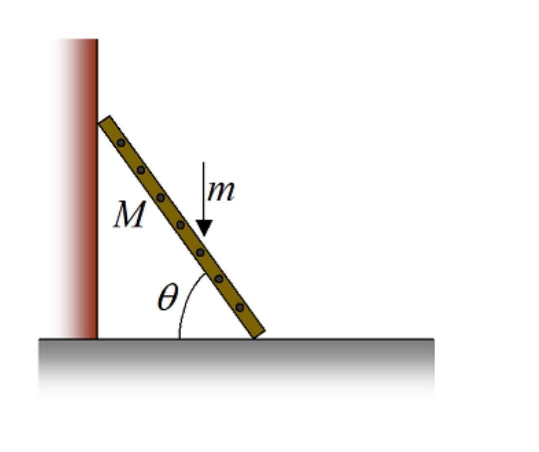 Solved As illustrated, an L-length uniform ladder is lying | Chegg.com