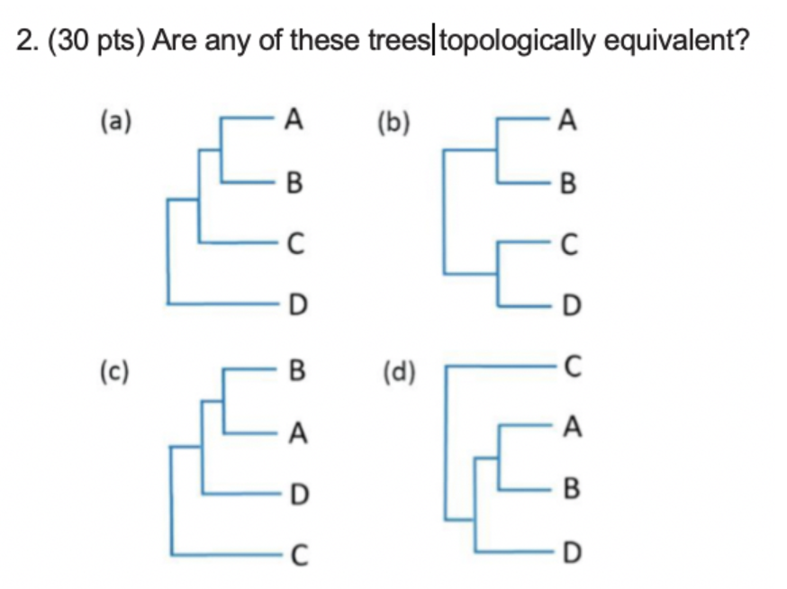 Solved Explain which two trees are topologically equivalent | Chegg.com