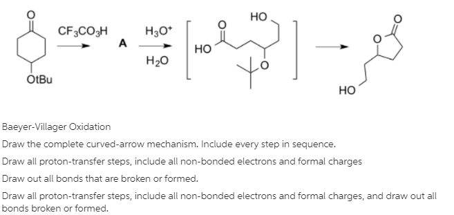 Solved CF3CO3H H30+ H20 OtBu HO Baeyer-Villager Oxidation | Chegg.com