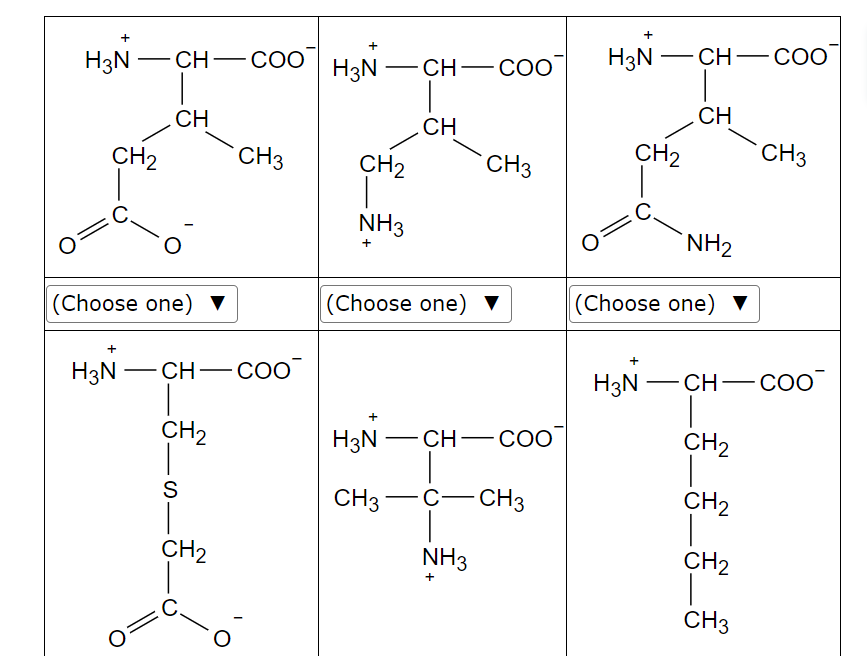 Solved Classify each of the amino acids below. Note for | Chegg.com