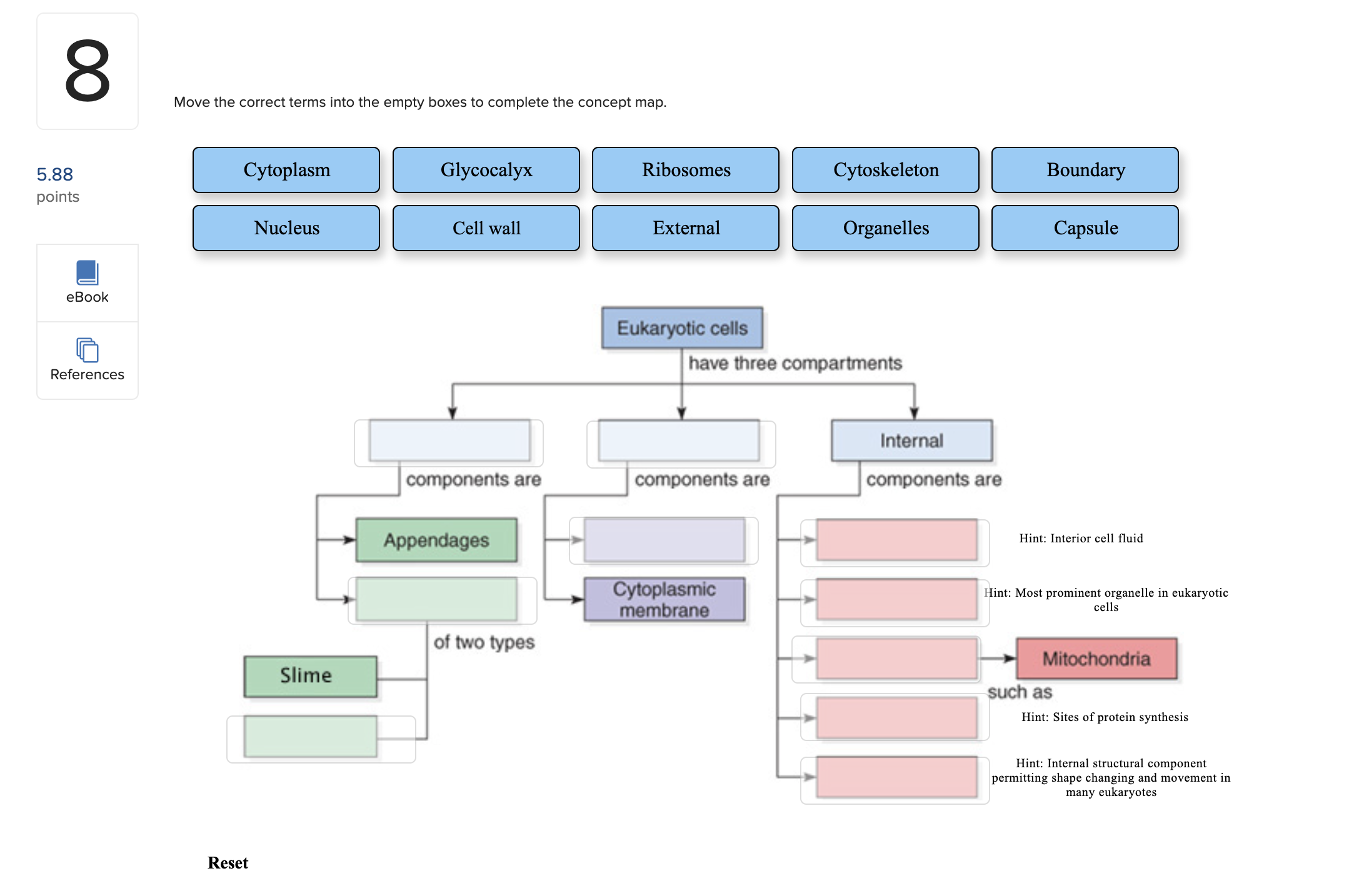 Solved Move the correct terms into the empty boxes to | Chegg.com