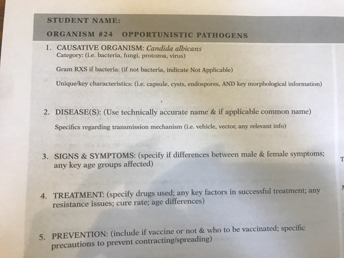 Solved STUDENT NAME: ORGANISM #24 OPPORTUNISTIC PATHOGENS 1. | Chegg.com