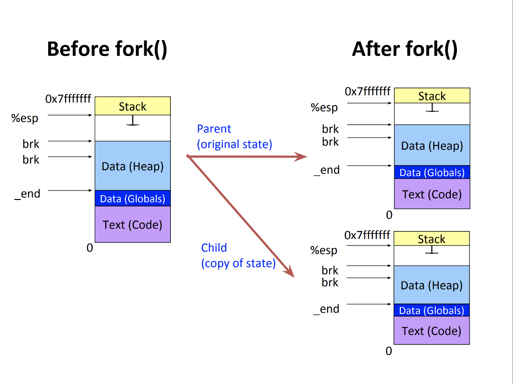 Solved View this C program: #include #include | Chegg.com