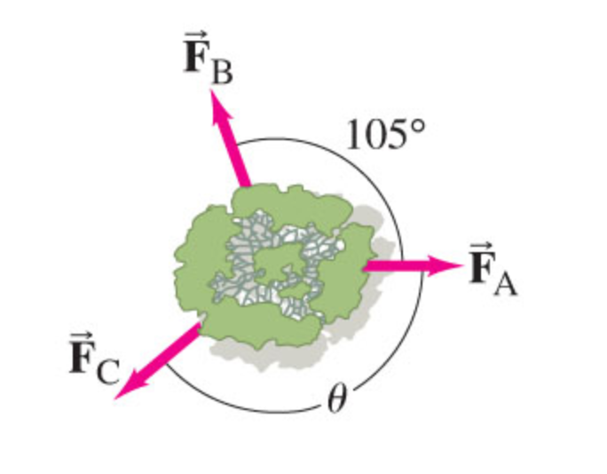Solved Three forces are applied to a tree sapling, as shown | Chegg.com