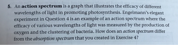Solved An action spectrum is a graph that illustrates the | Chegg.com