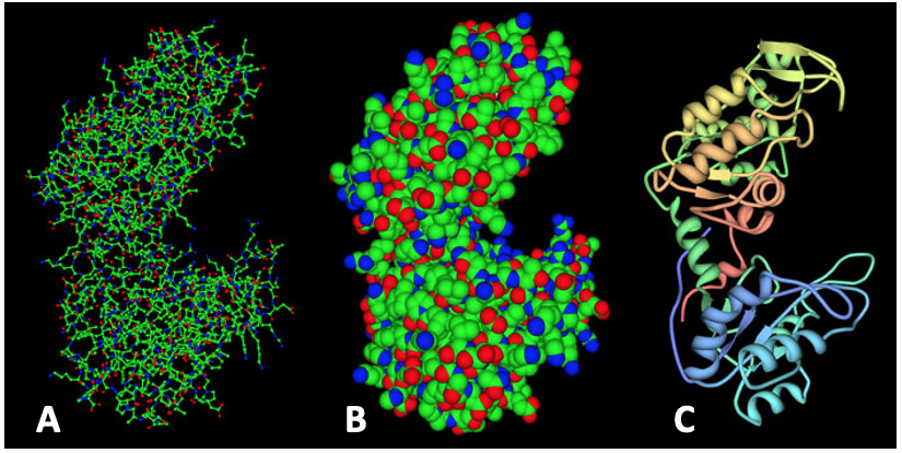 Solved These can be thought of as an A. an atomic-bond | Chegg.com
