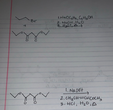 Solved I. NaOC2H5,C2H5OH 2. NaOH,H2O + 3. H3O+,A2O I.NaOEt | Chegg.com