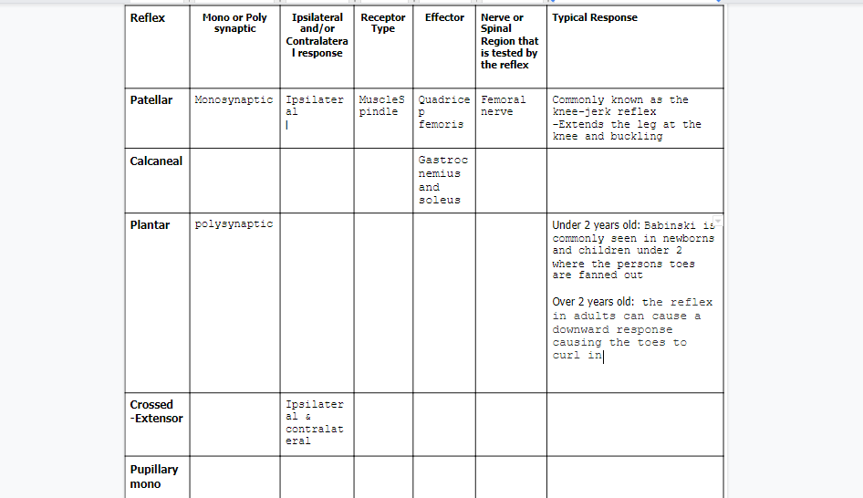 Solved Reflex Effector Mono or Poly synaptic Typical | Chegg.com