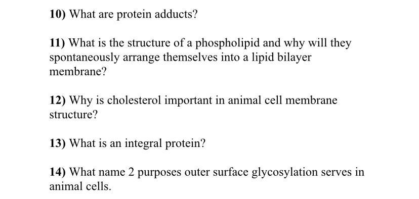 Solved 10) What are protein adducts? 11) What is the | Chegg.com