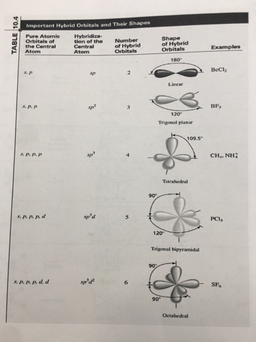 Important Hybrid Orbitals and Their Shapes Pure | Chegg.com