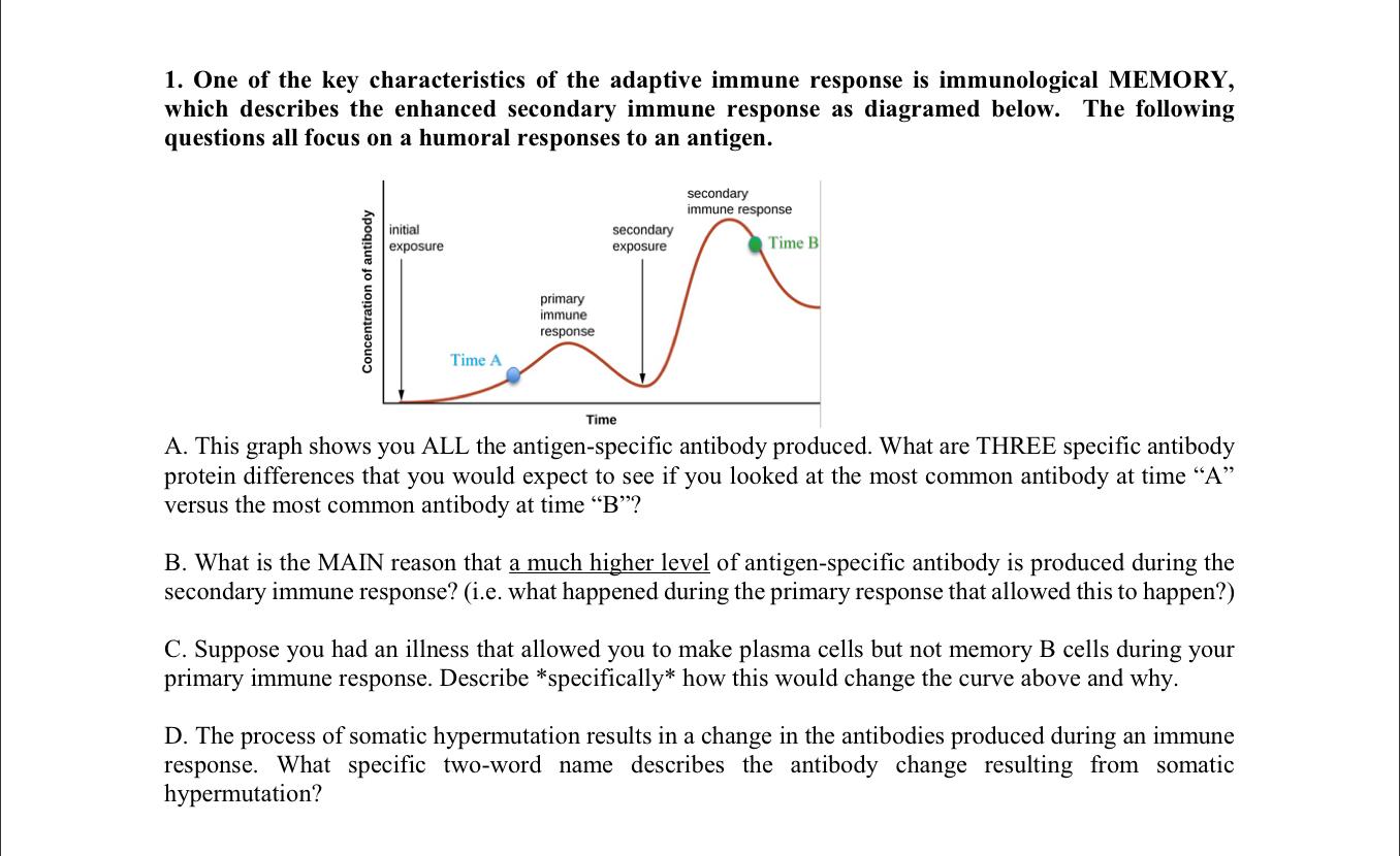 Solved 1. One of the key characteristics of the adaptive | Chegg.com