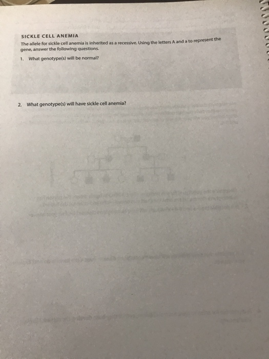 Solved SICKLE CELL ANEMIA The allele for sickle cell anemia | Chegg.com