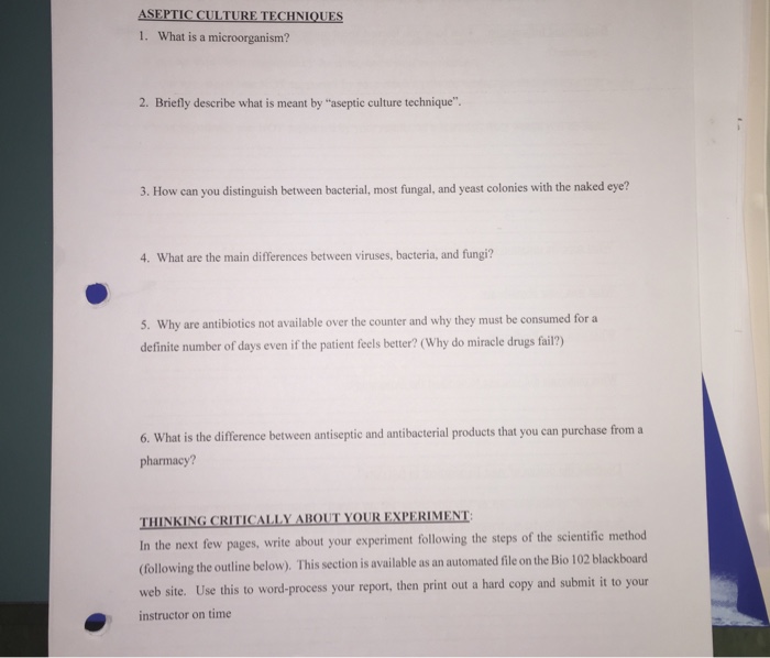 Online Essay Help | amazonia.fiocruz.br Online Essay Help | amazonia.fiocruz.br